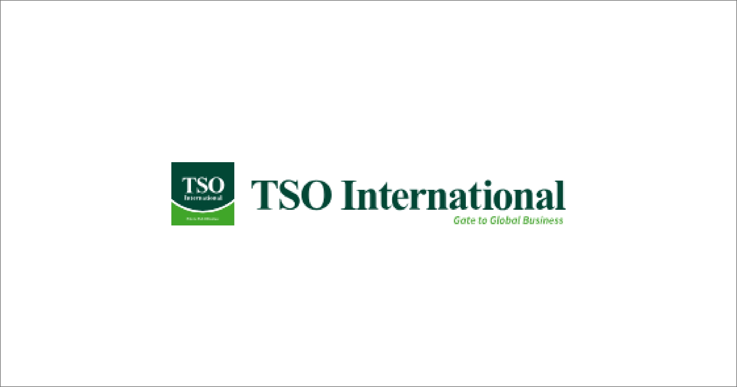 TSO International株式会社採用情報